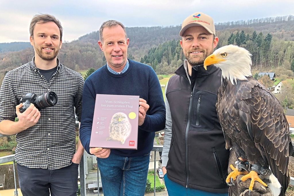 Adlerwarte Berlebeck: Vom Küken zum König der Lüfte