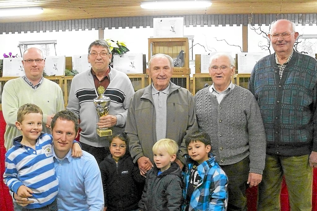 Tauben in ihrer ganzen Pracht