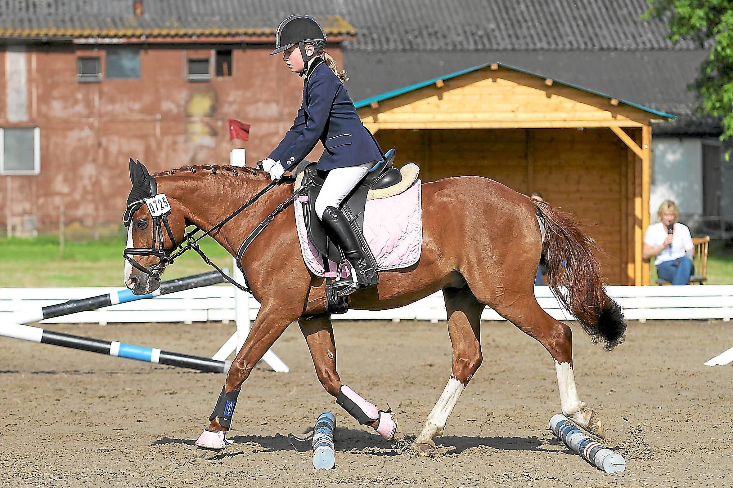 Gausepohl Zweite im Caprilli-Test