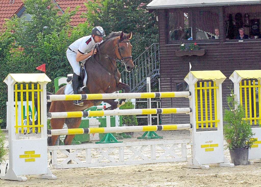 Stephan Gerdener siegt in Albachten - Dressur-Erfolg für Sophie Holkenbrink