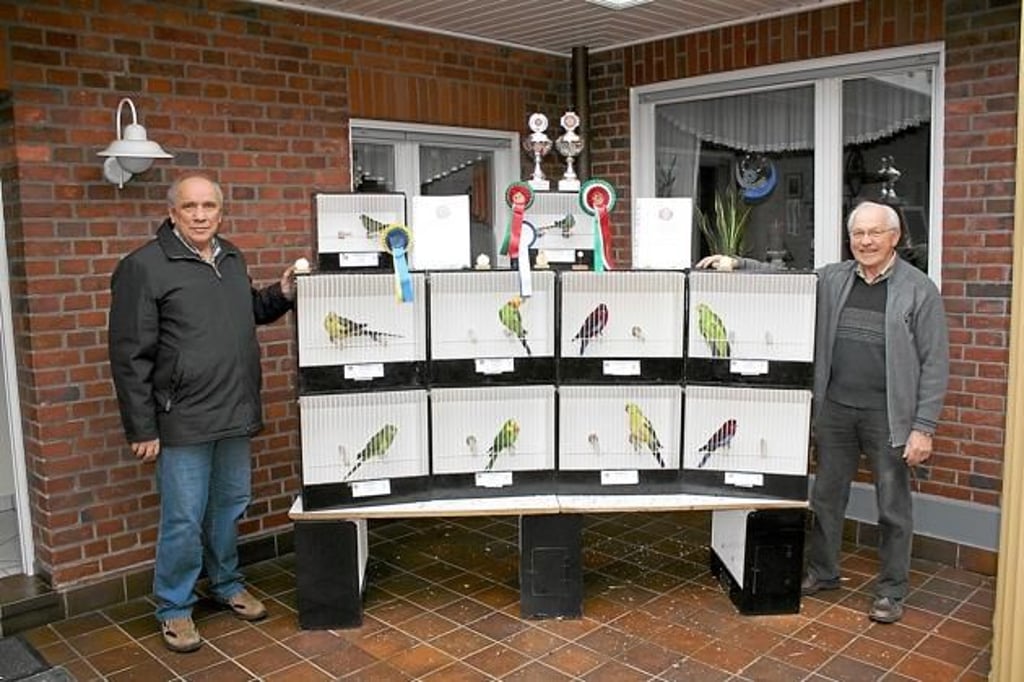 Zwei Pokale und drei Goldmedaillen