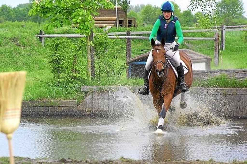 In der Gunst der Reiter und Zuschauer vorn