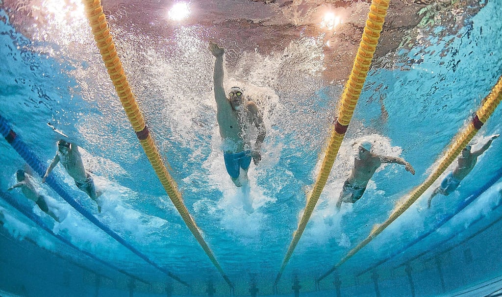 Wie ein Fisch im Wasser...