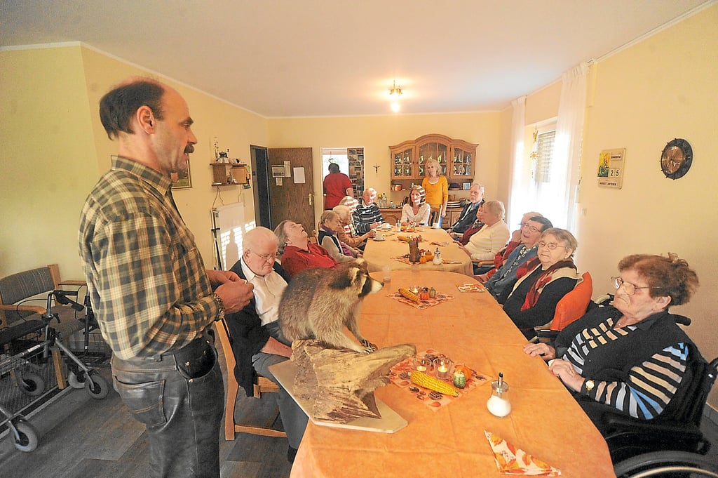 Waschbären und Marder kamen zu Besuch