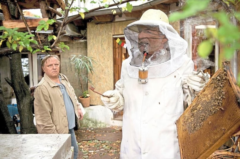 Tatort Münster: Übersicht aller Folgen mit Boerne und Thiel