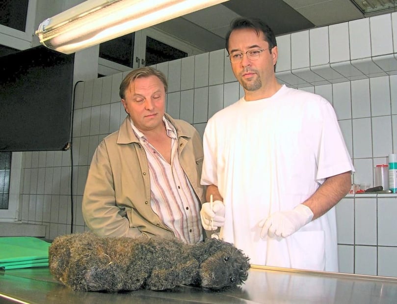 Tatort Münster: Übersicht aller Folgen mit Boerne und Thiel