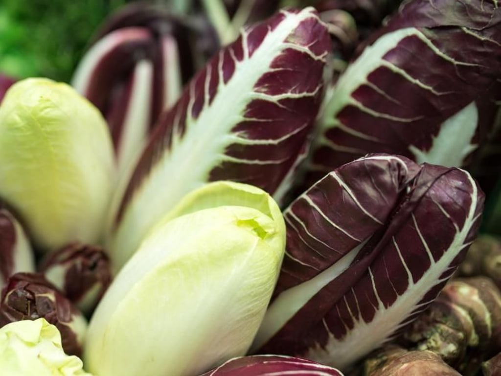 Radicchio schmeckt mit Früchten nicht so bitter