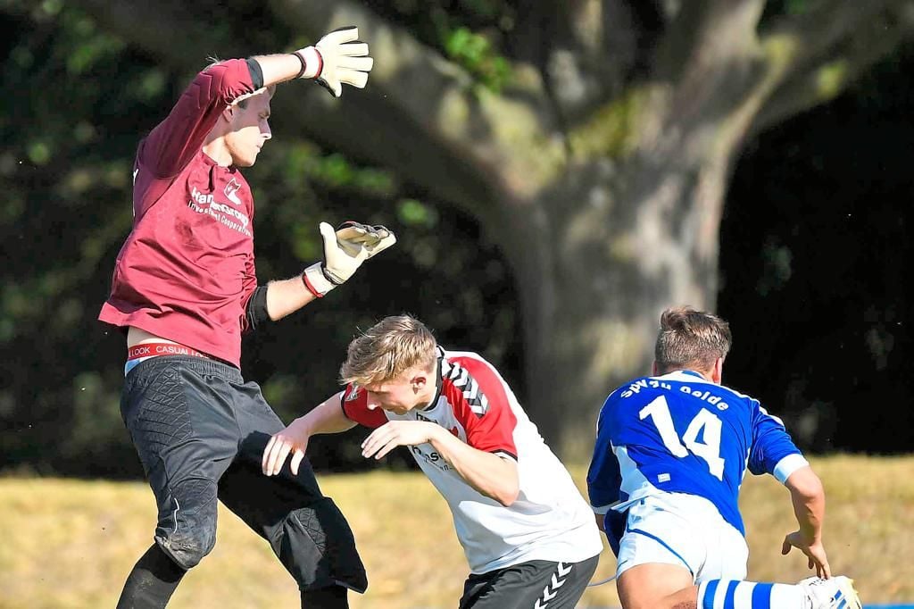 VfL Sassenberg holt Torwart und Außenstürmer
