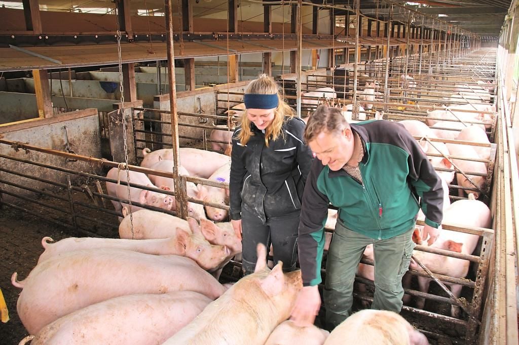 So könnte es einmal aussehen