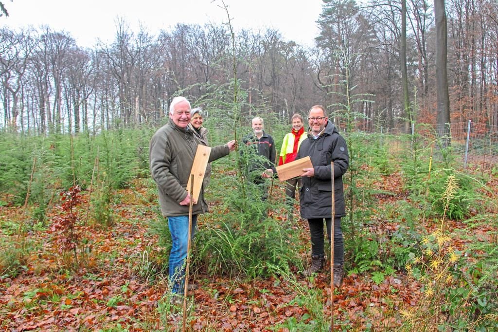 Vorsorge für die Wälder von morgen