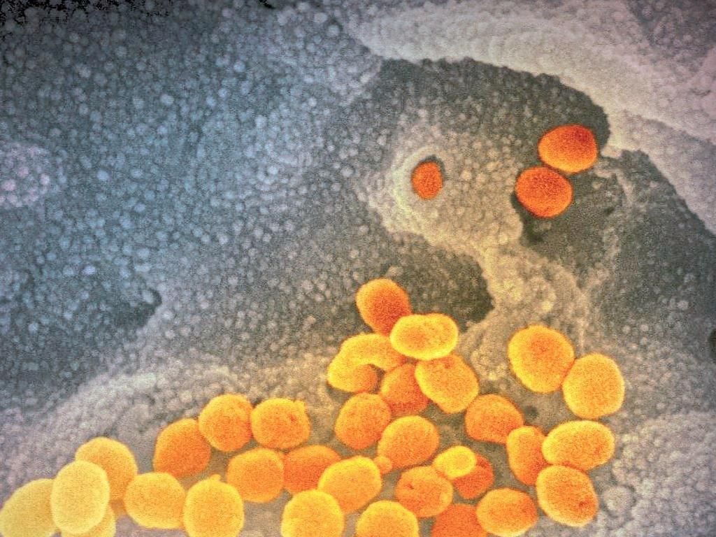 Britische Mutation in Bielefeld nachgewiesen