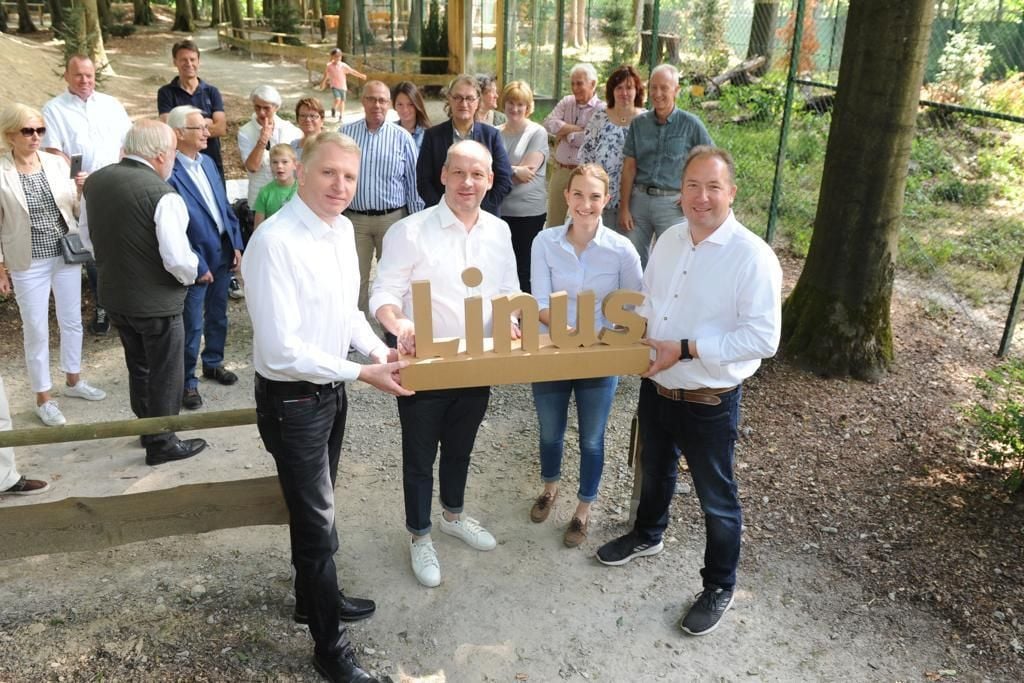 Alles dreht sich um Luchs Linus