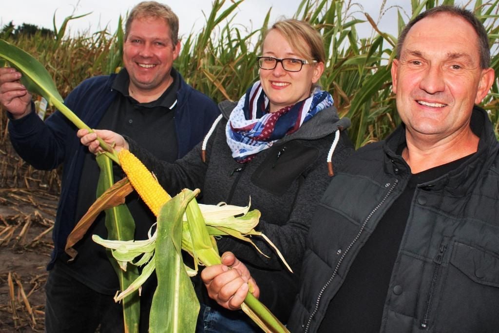 Trockenheit macht Mais zu schaffen