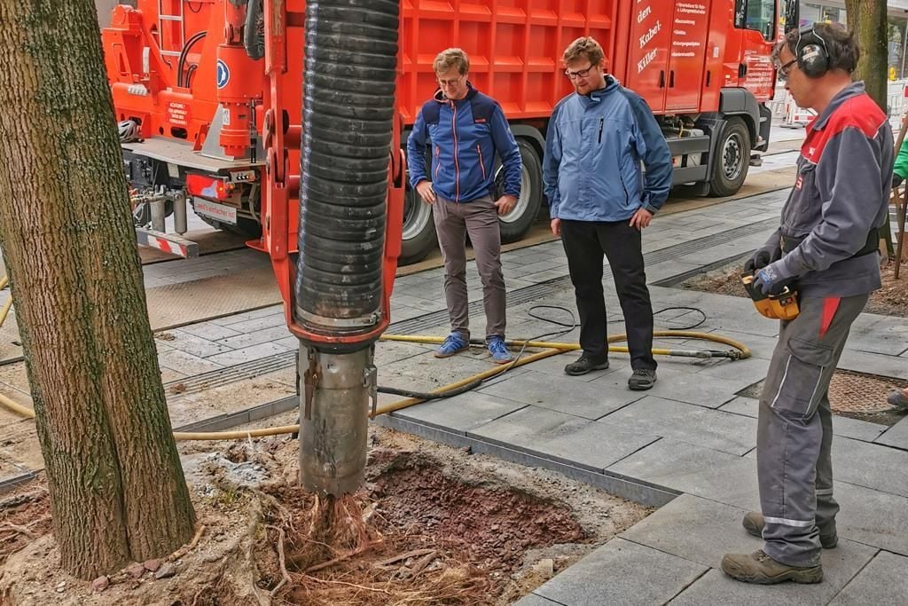 Mehr Luft für die Wurzeln der Innenstadtbäume