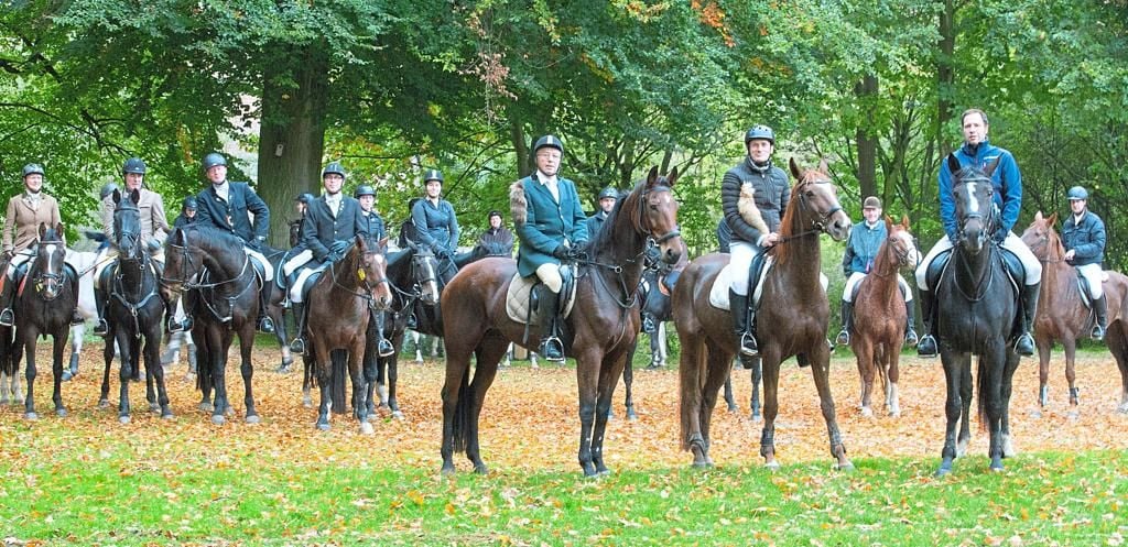 Schnelles Pferd und stolzer Reiter