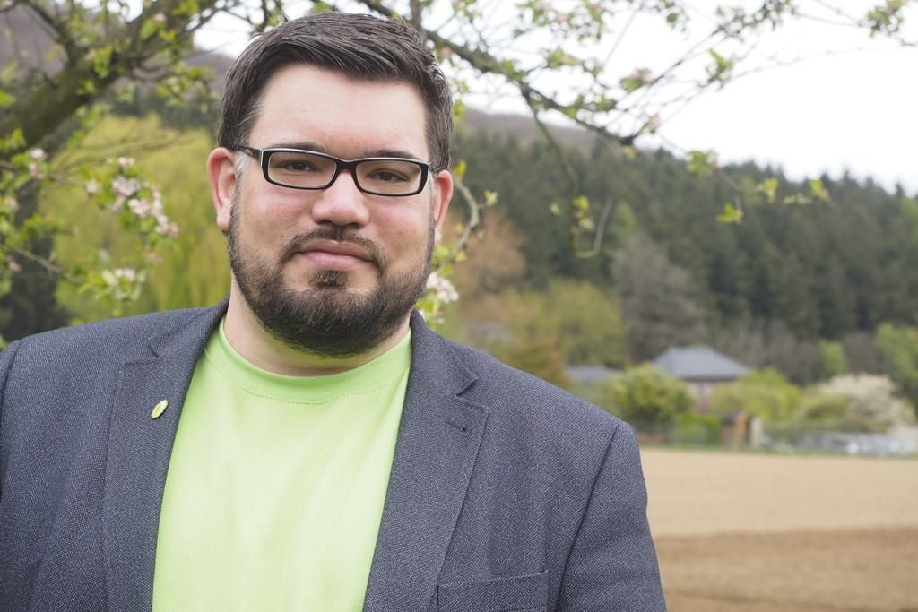 Grüne setzen auf Rauer