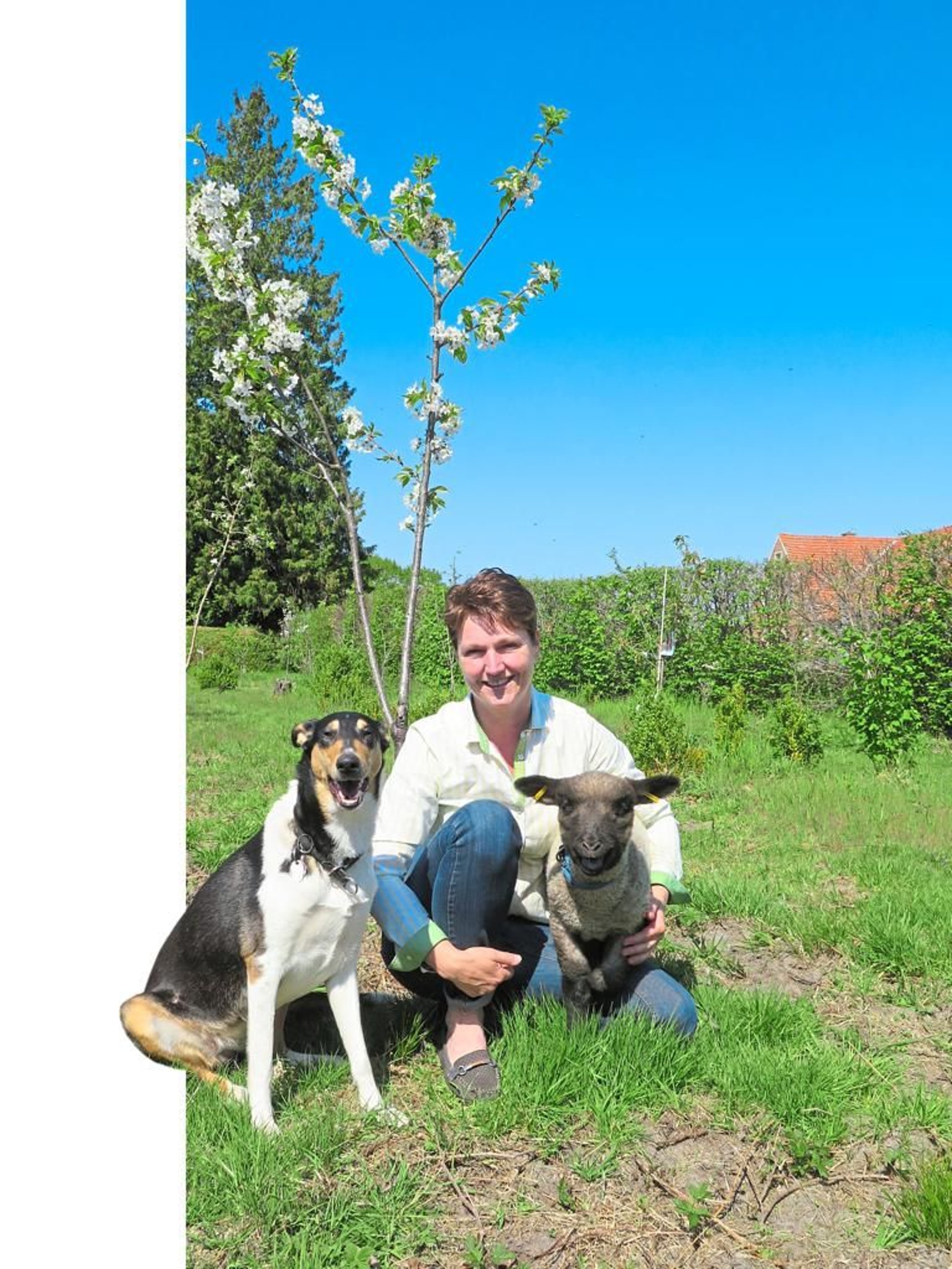 „Ich werde sehr dicke Bretter bohren“