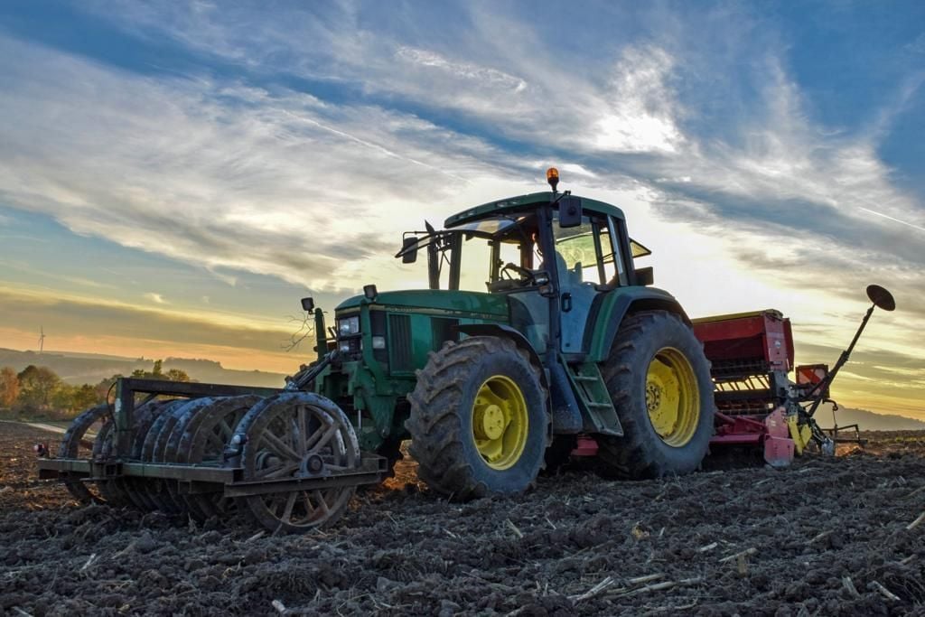 Raps hält Nährstoffe im Boden