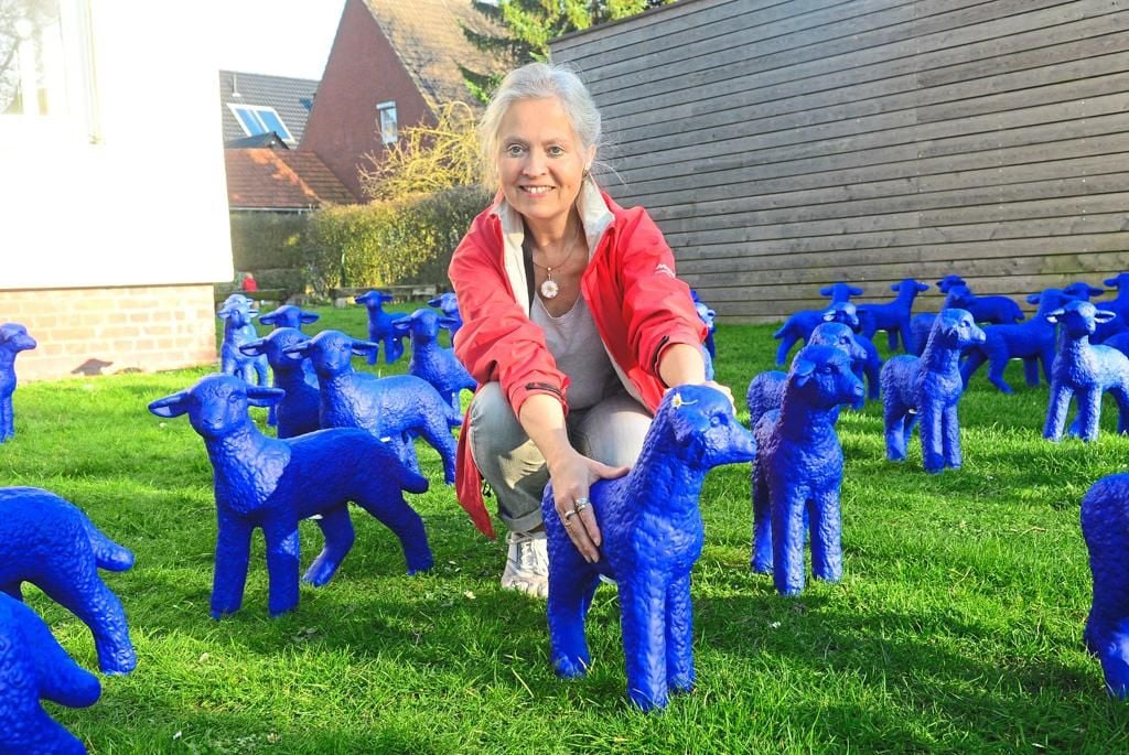 Blaue Lämmer übernachten im Glashaus