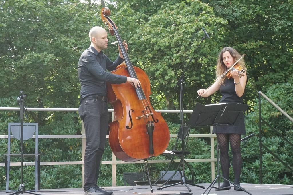 Literatur rund um die Senne