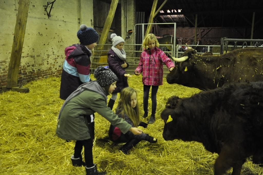 Falken-Freizeit wird jetzt inklusiv