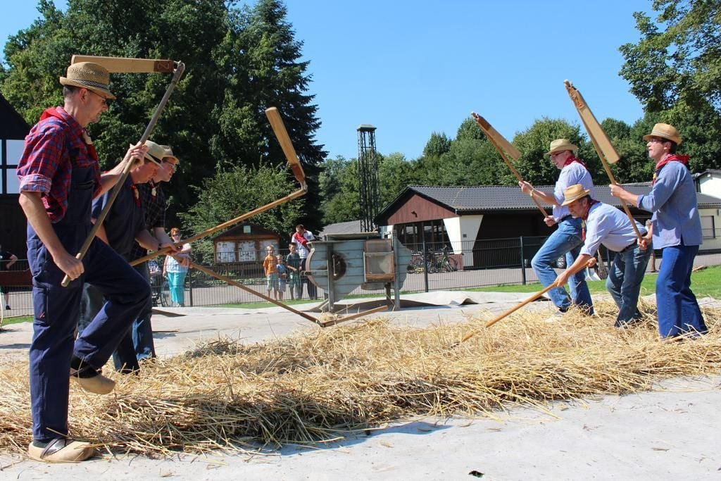 Beim Dreschen mitmachen
