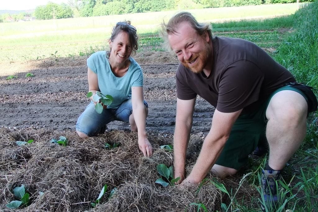 Helfen, ernten, miteinander teilen
