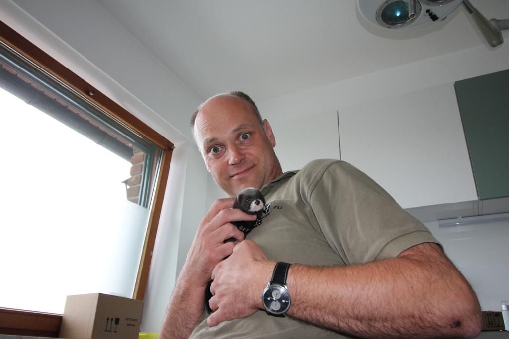 Iltis-Baby mit riesigem Freiheitsdrang