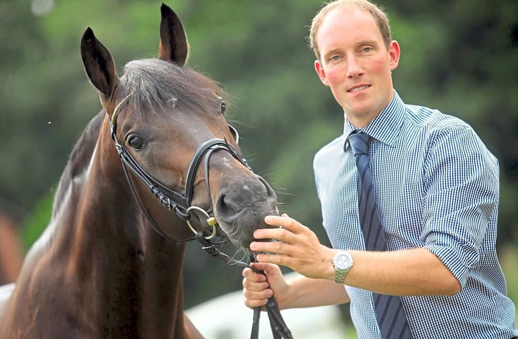 Auktionen mit Pferdefuß: Zuchtverband im Zwielicht