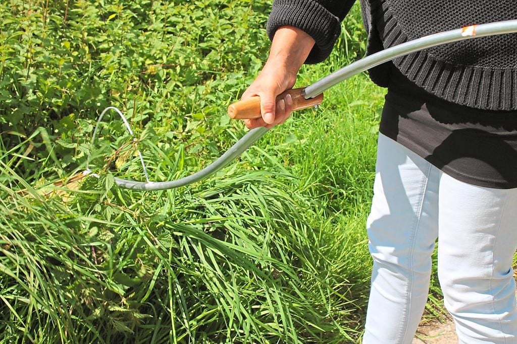 Die Sense richtig schwingen