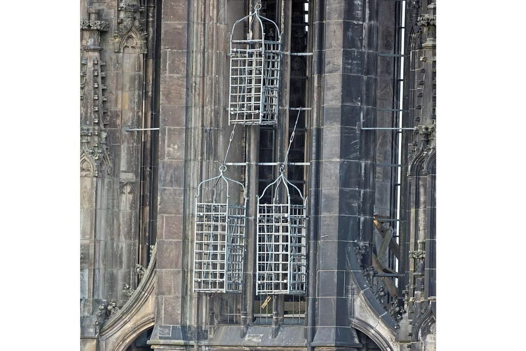 Wie die Reformation in Münster entgleiste