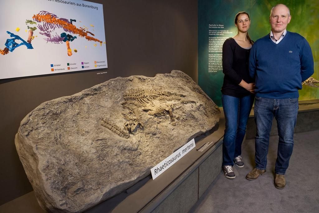 Saurier trägt seinen Namen