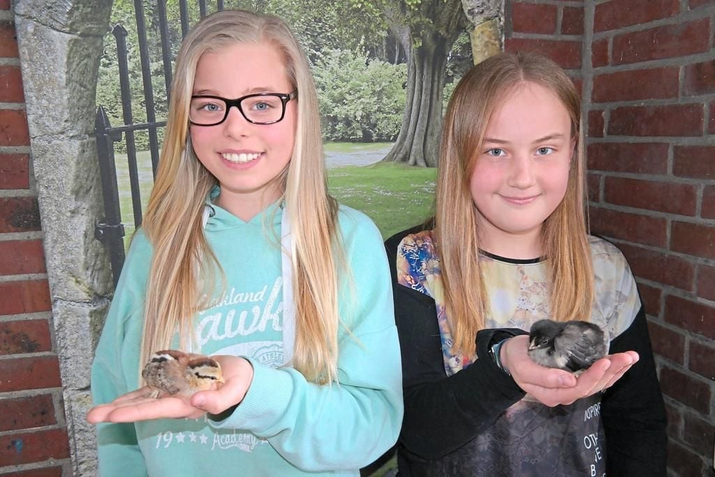 Junge Züchterinnen sind erfolgreich