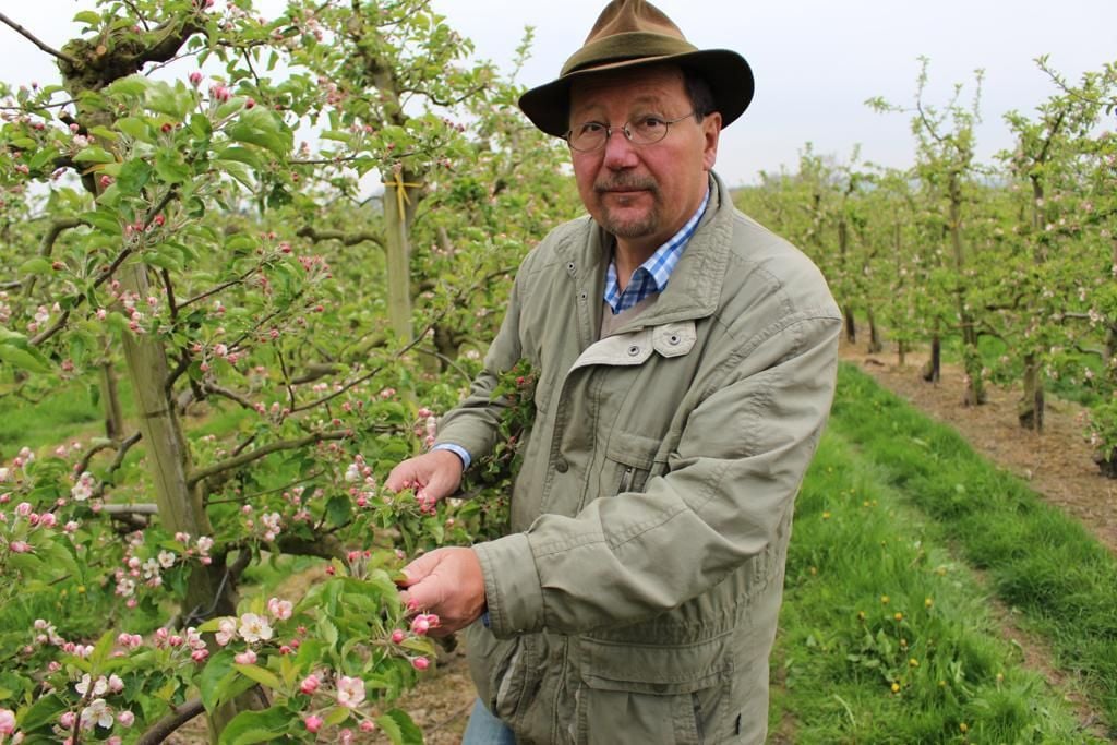 Obstbauer Otte fürchtet um Ernte