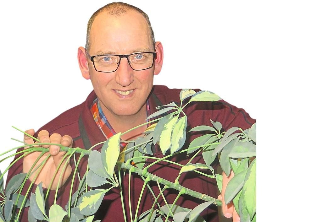 Sommer verliebt sich im Winter