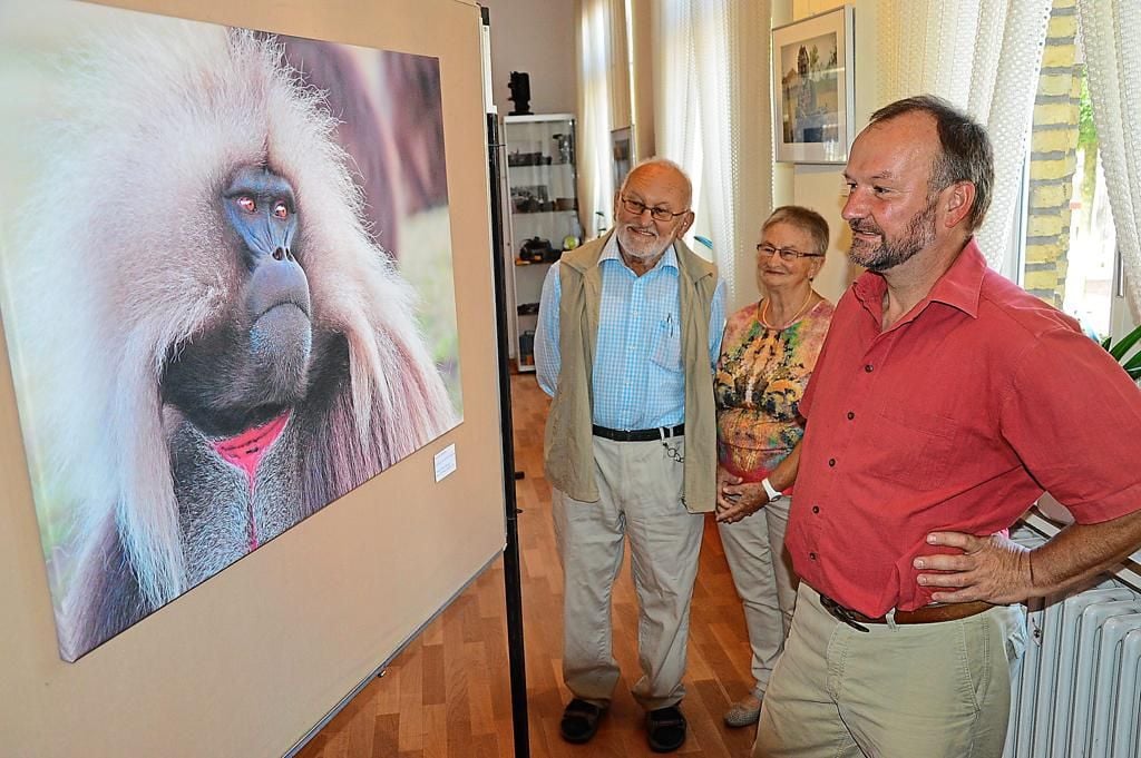 Beeindruckende Schnappschüsse