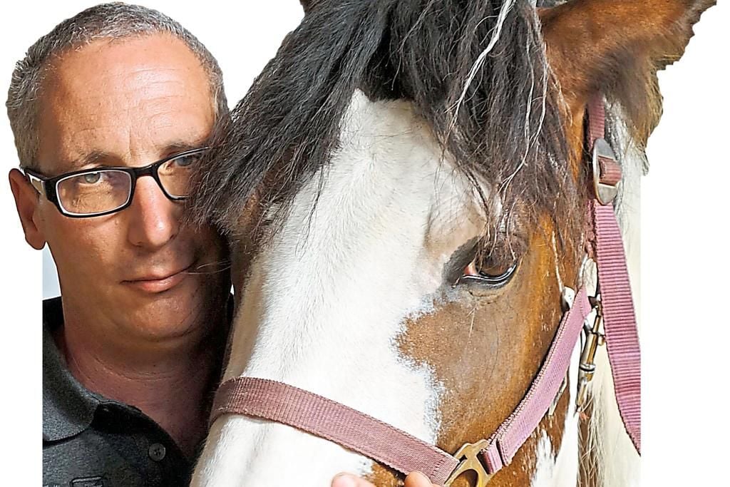 Ein Stallschreck fasst Vertrauen