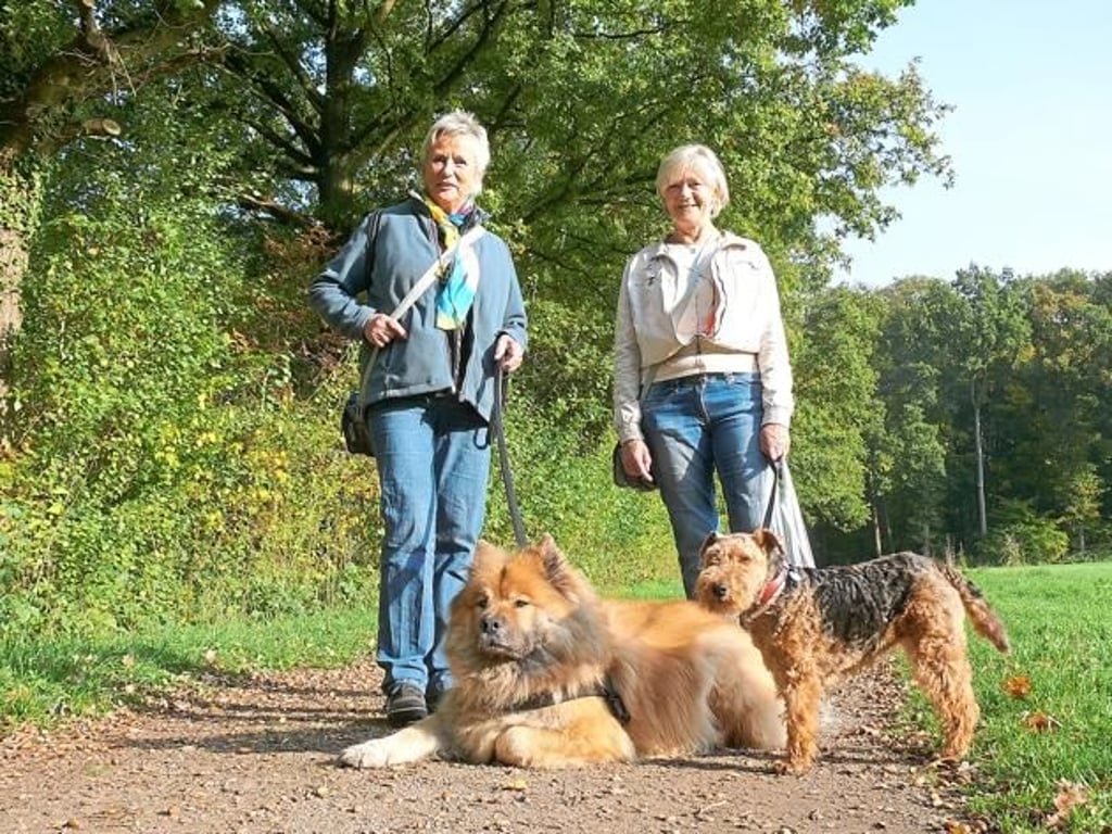 Kinderhauser Wäldchen und Nordmark sind bei Hundehaltern beliebt – doch ...