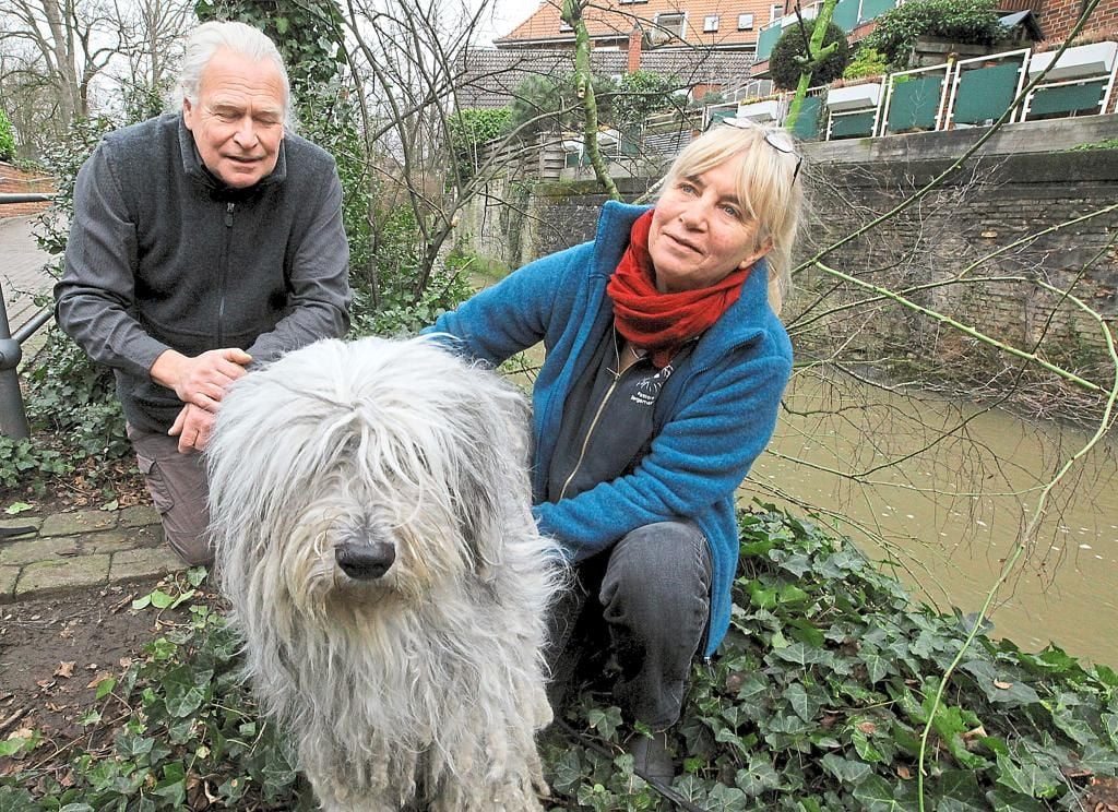 Dido in der reißenden Aa