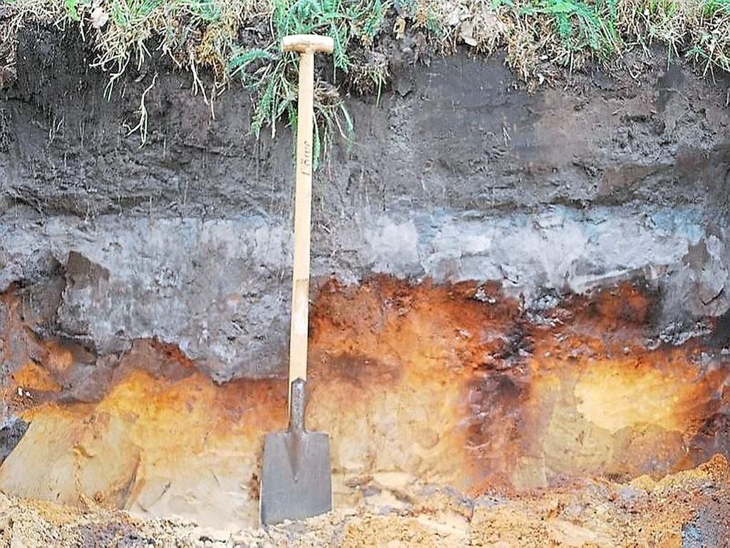 Die Plackerei der Plaggenbauern