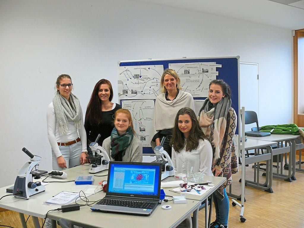 Wie geht es nach der Schule weiter?