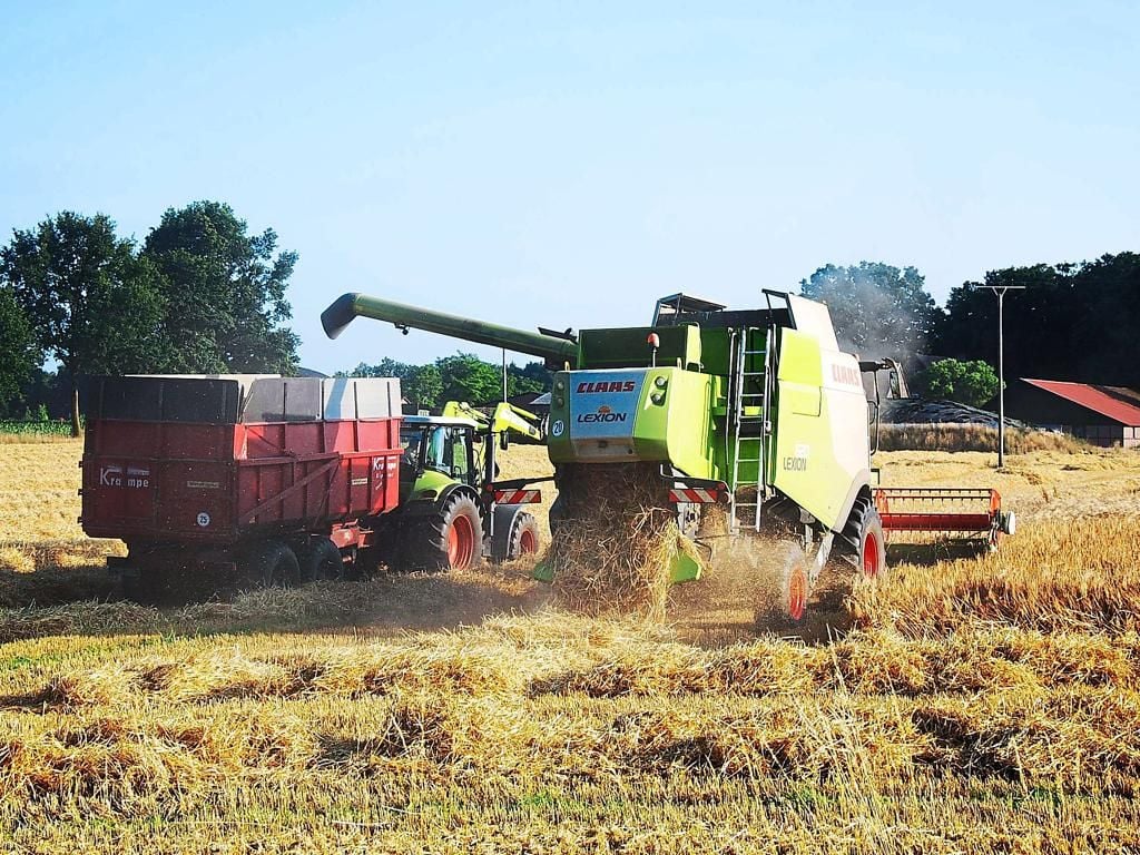 Gute Ernte nur in Westfalen
