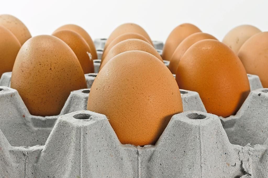 „Faule“ Eier untergeschoben