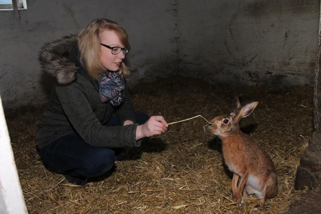 »Hasi« erlebt sein neuntes Weihnachten