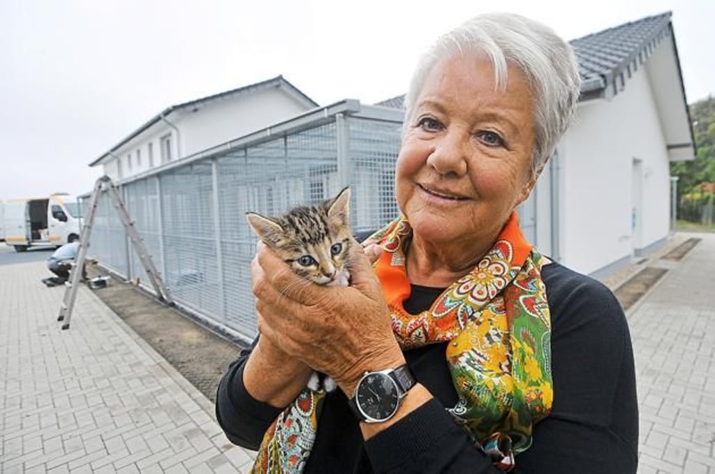 Tierheim-Chefin: Katzen sind nicht vogelfrei