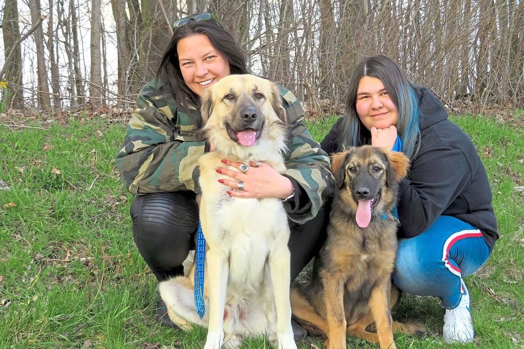 Hier bellen jetzt zwei Bulgaren