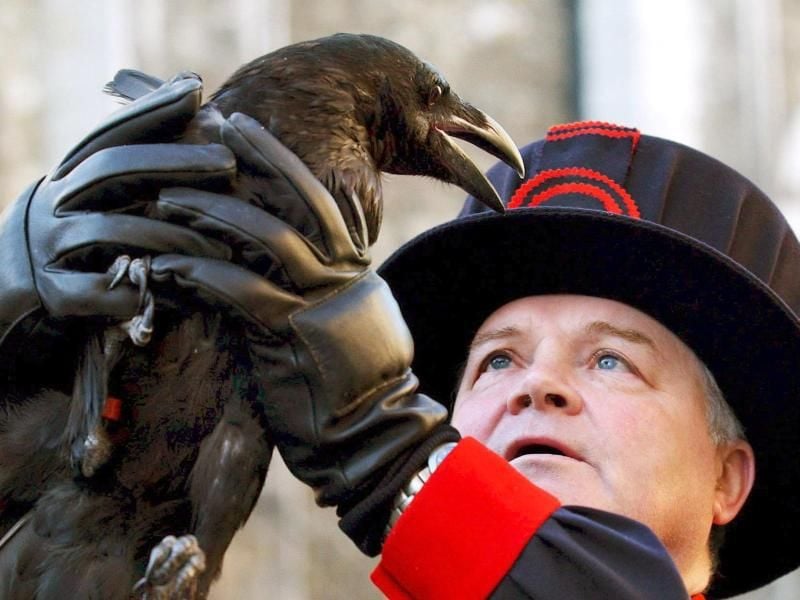 Tower von London verliert einen Raben