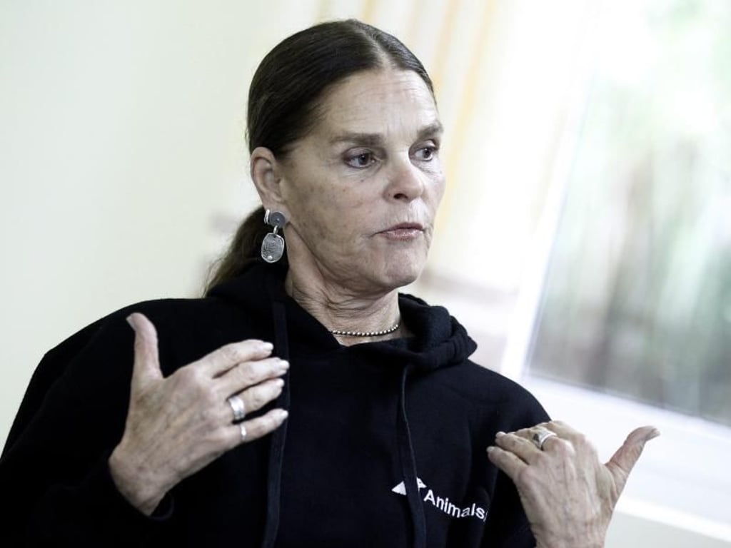 «Love Story»-Star Ali MacGraw wird 80