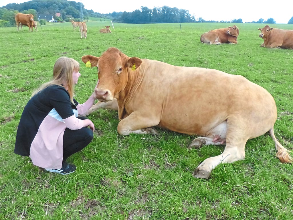 Jede Kuh hat einen Namen