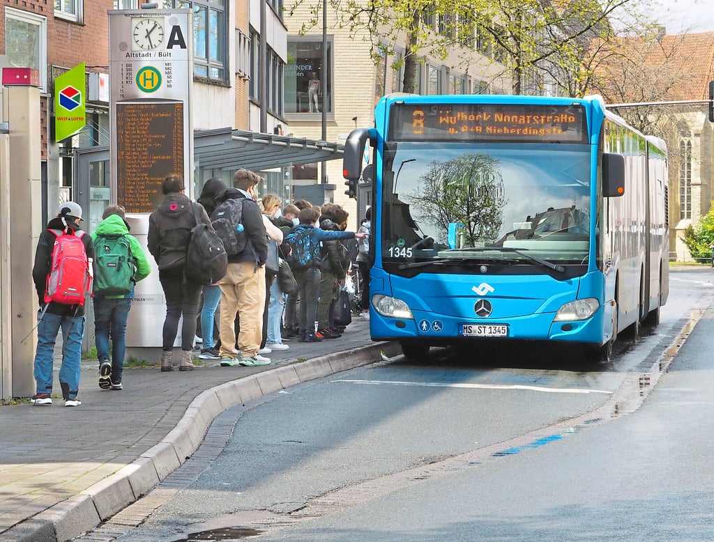 Kleinbusse fahren zum Bült